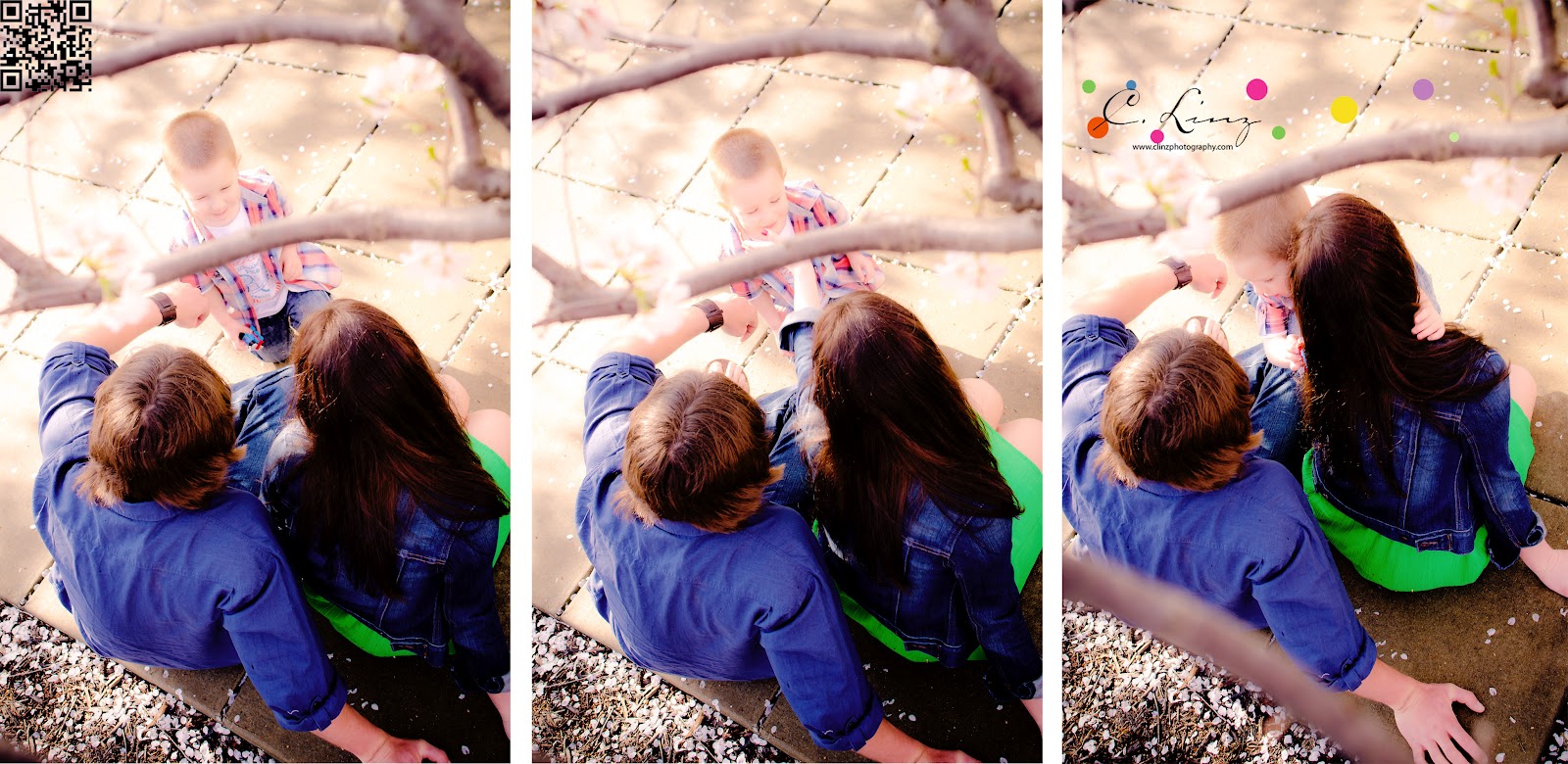 C. Linz Photography: Choo, Choo, {TOOT} Toot / St. Louis Family ...