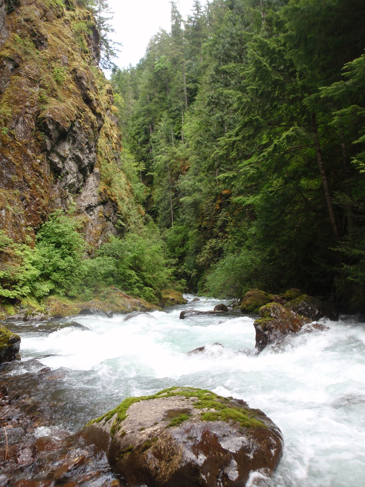 Fluid: As a lifestyle.: The Big Quilcene - Olympic Peninsula
