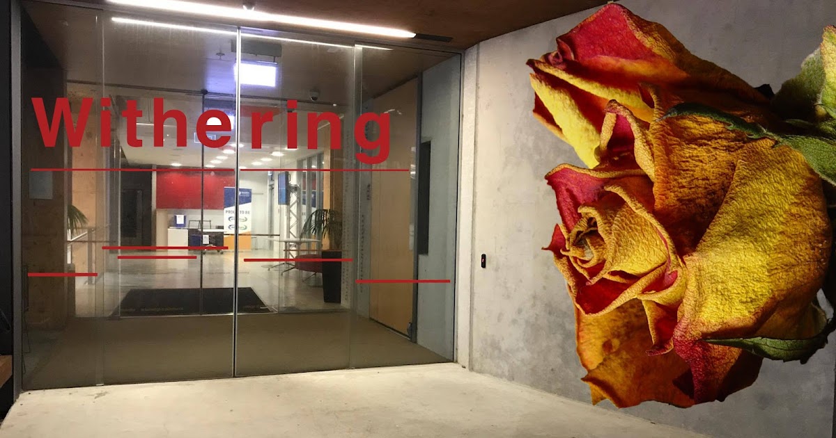 Georgia Robertson Design