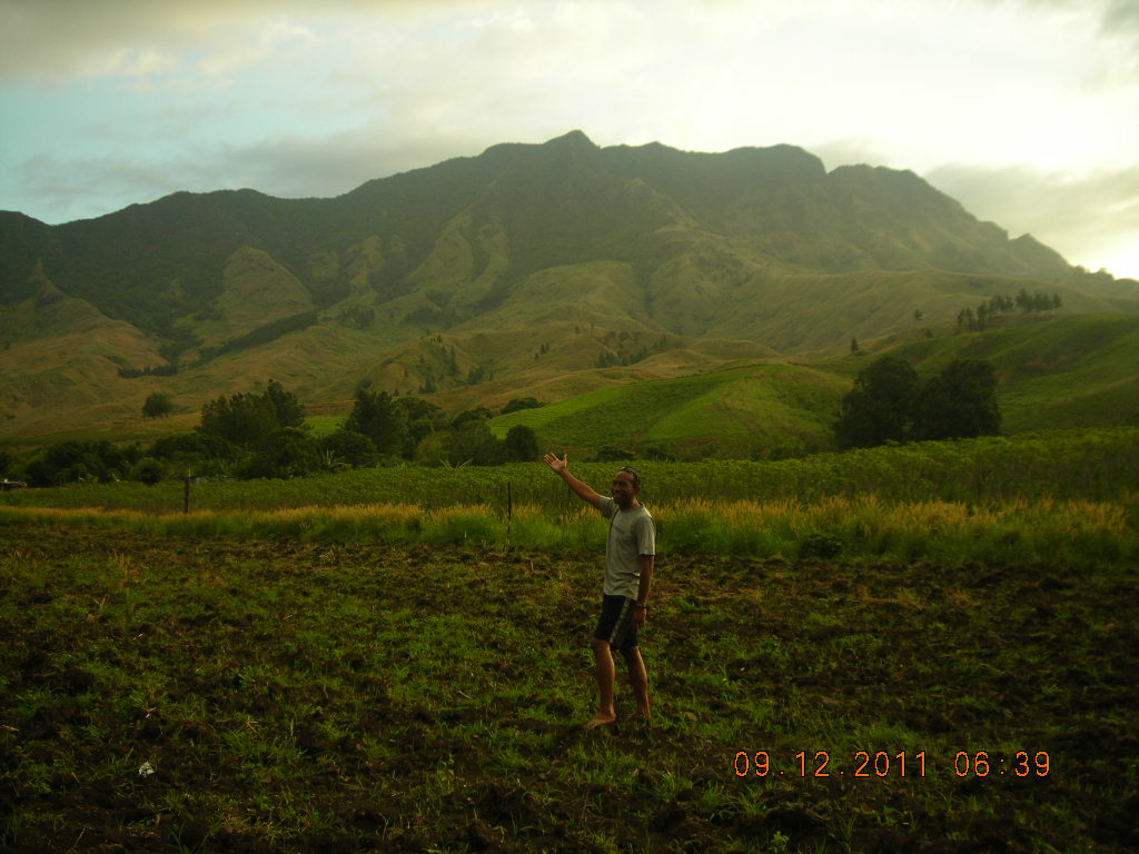 Business Incubation Center Rakiraki: Vatukacevaceva Village , Naroko, Ra.