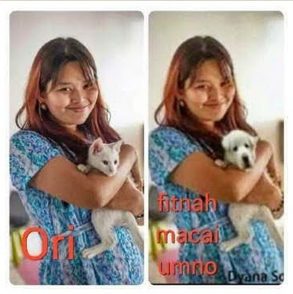 ‘Samseng BN’ hala ekzos ke muka Dyana Sofya hingga habis minyak...MAI ...