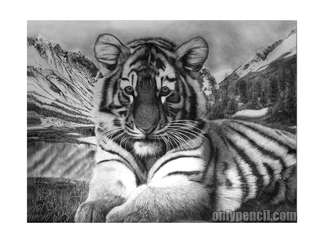 Pencil Drawing Methods | Photo Realistic Pencil Drawing | Graphite ...