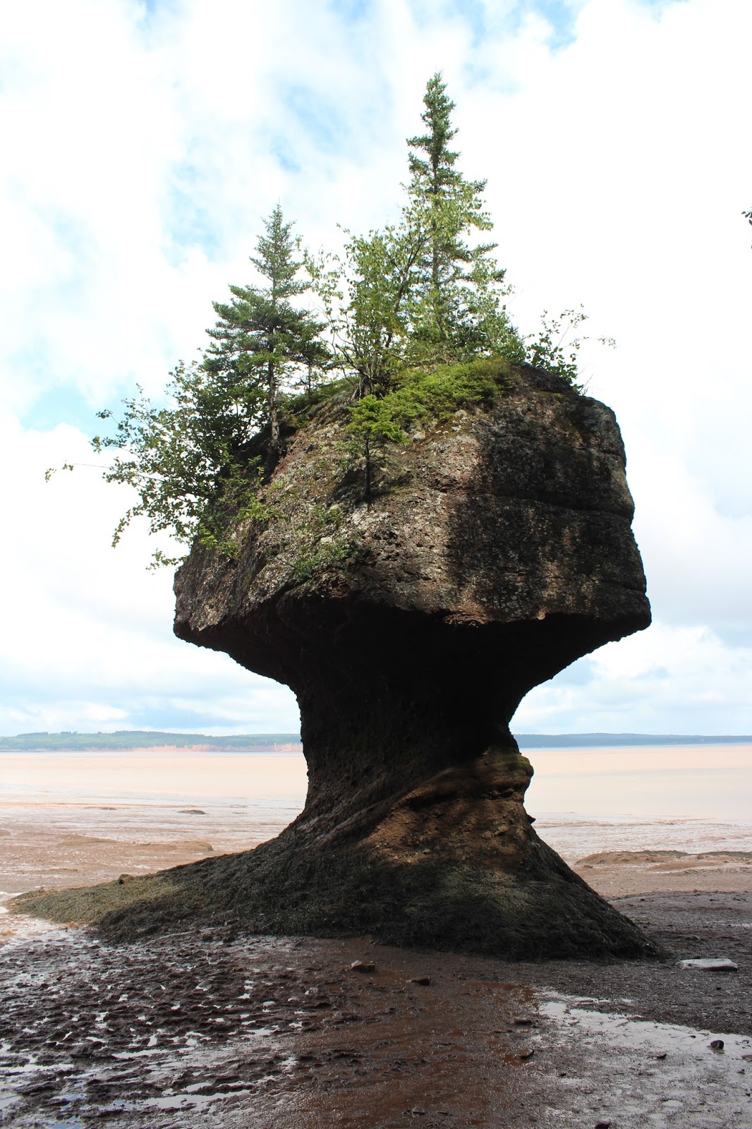 Hopewell Rocks ~ Bay of Fundy, New Brunswick
