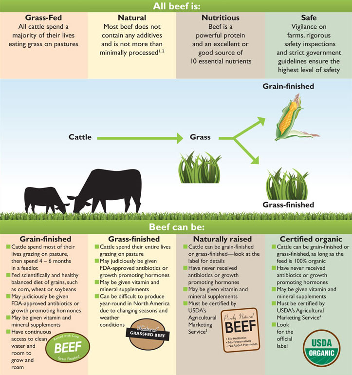 Bama Beef Blog: Beef Fact Friday: Debunking Labels