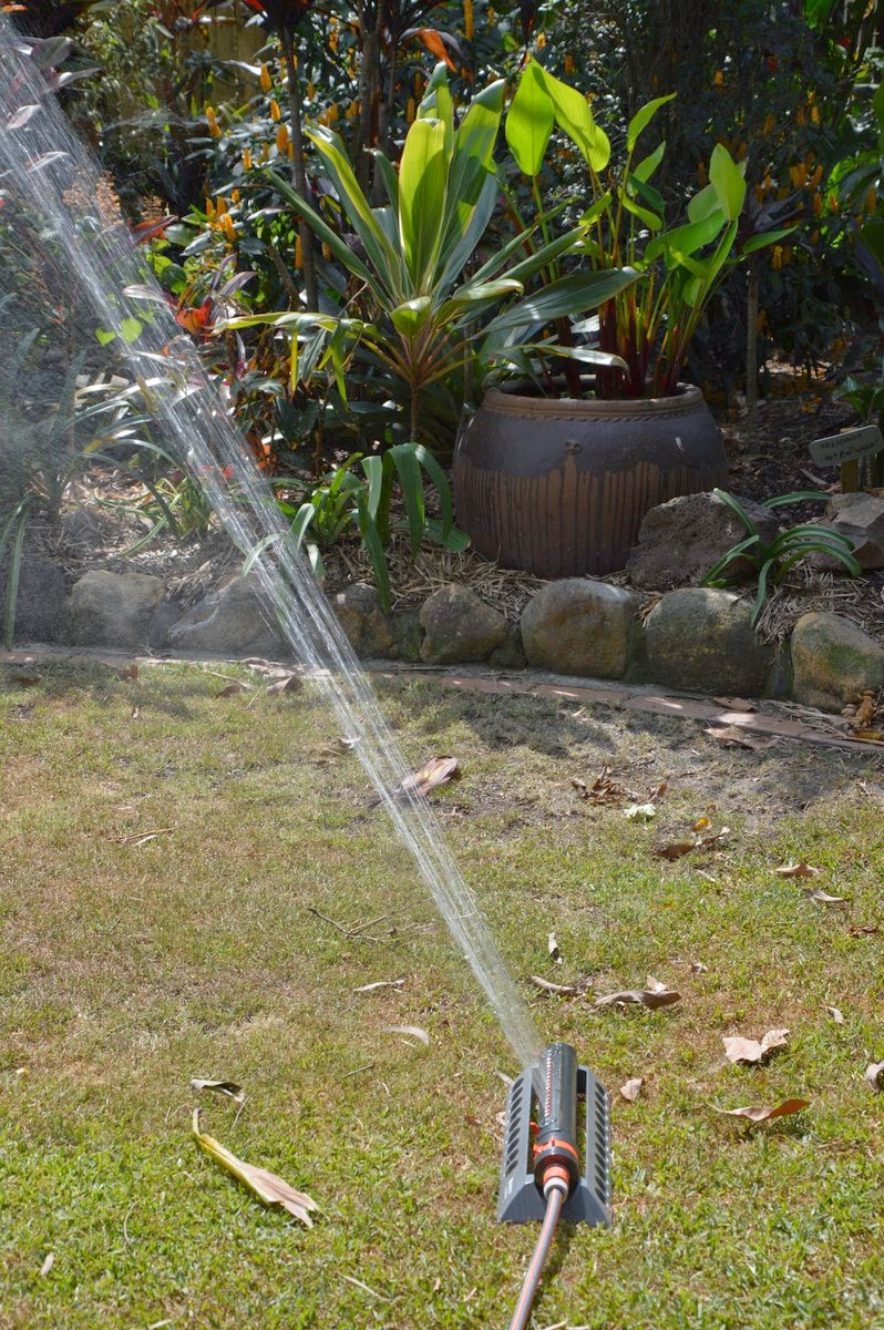 Garden Product Reviews: Rainwave/oscillating Sprinkler for the Garden