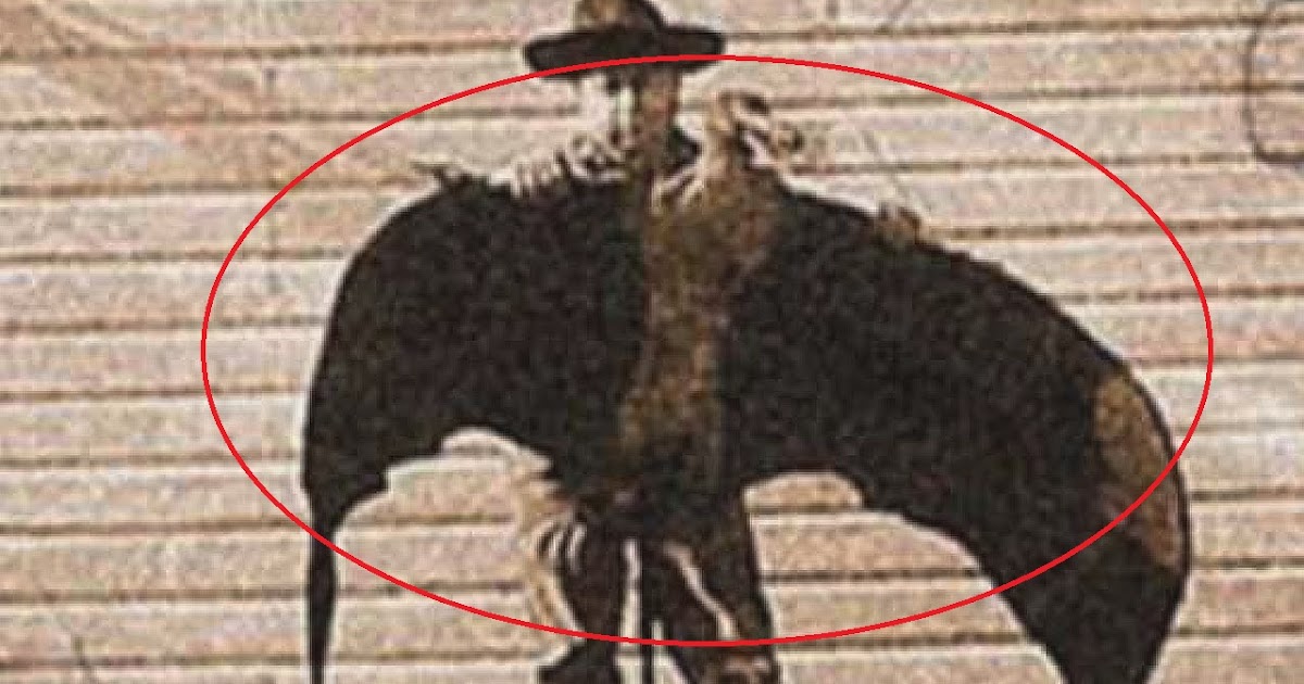 10 Photos Of Mysterious Cryptids
