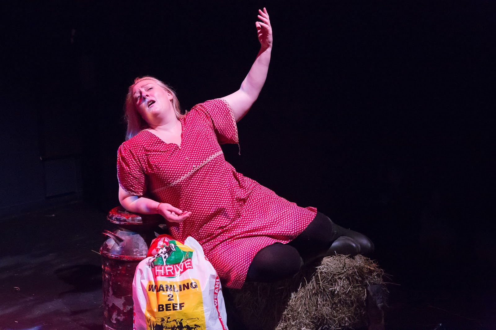 THEATRE'S LEITER SIDE: 59 (2017-2018): Review: CHAROLAIS (seen August ...