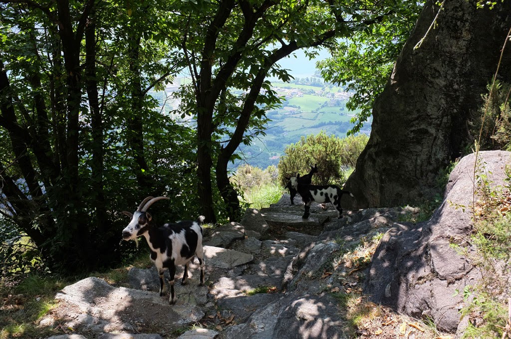 Le non-recensioni di Gcm: Val Codera. 2. Dal Rifugio Brasca a Novate ...