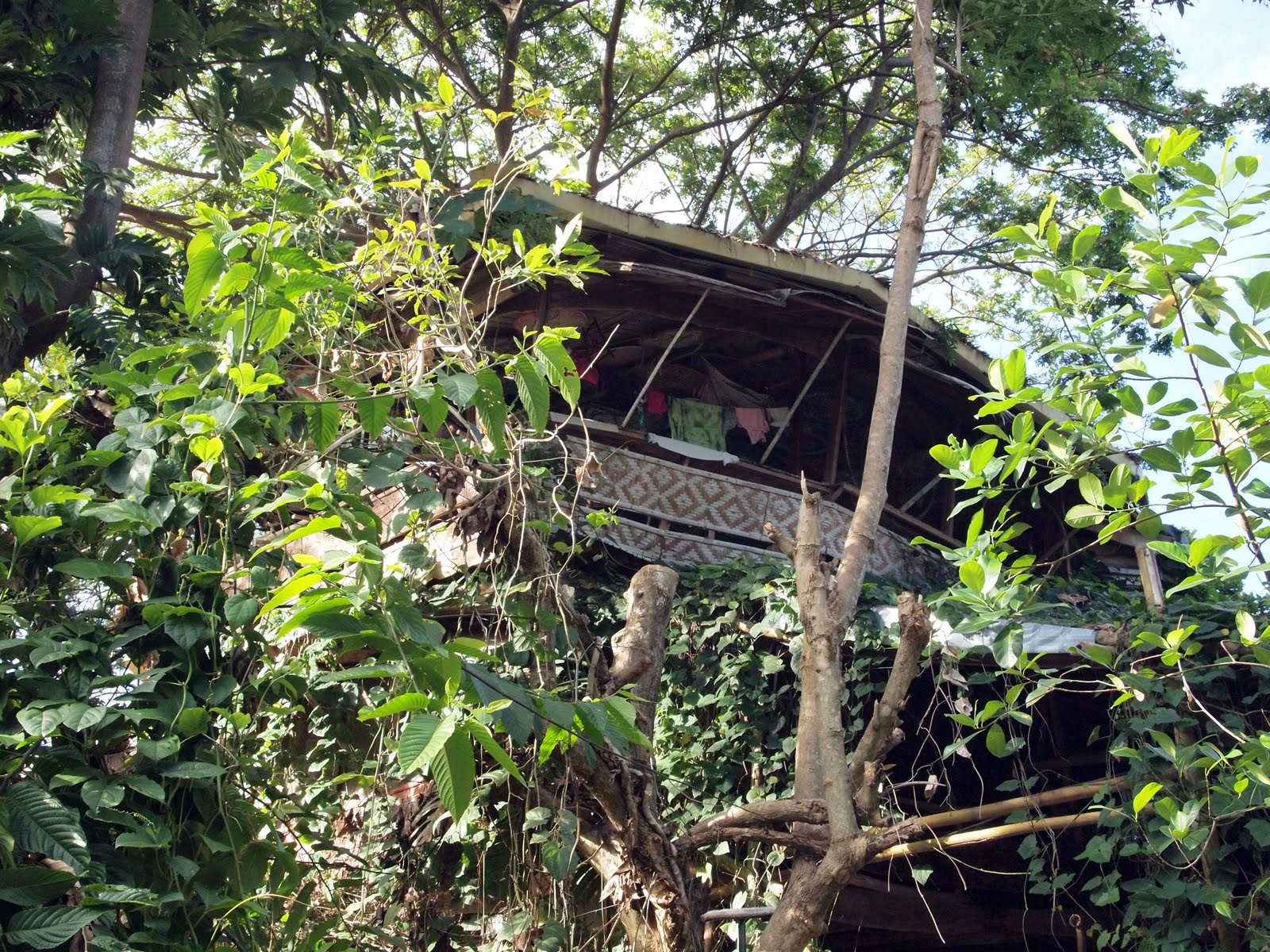 Hostel Review: Enigmata Eco-Lodge