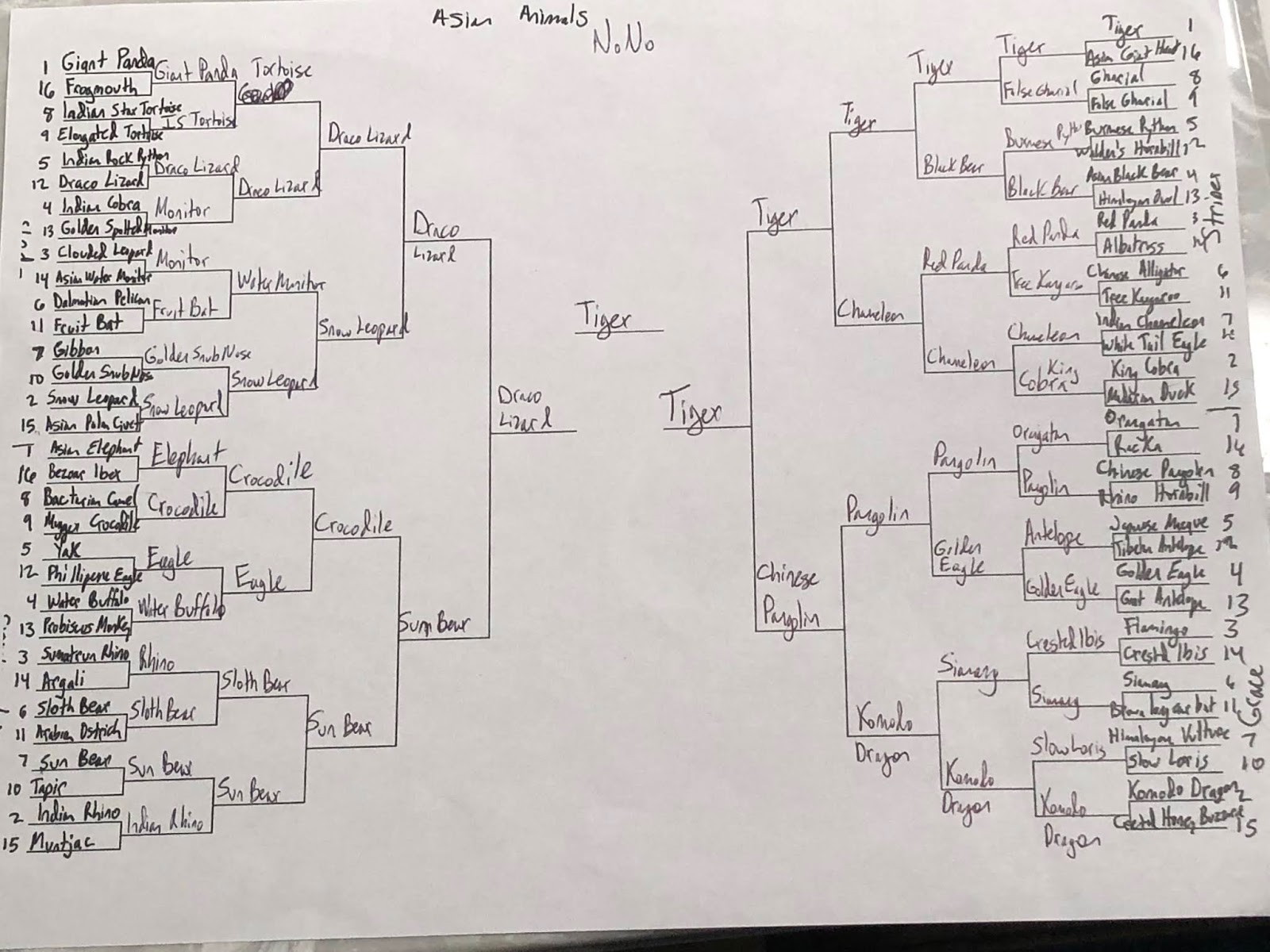 Junior's Brackets: Asian Animals Bracket