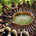 Iconografia: Tribo Africana Ubuntu