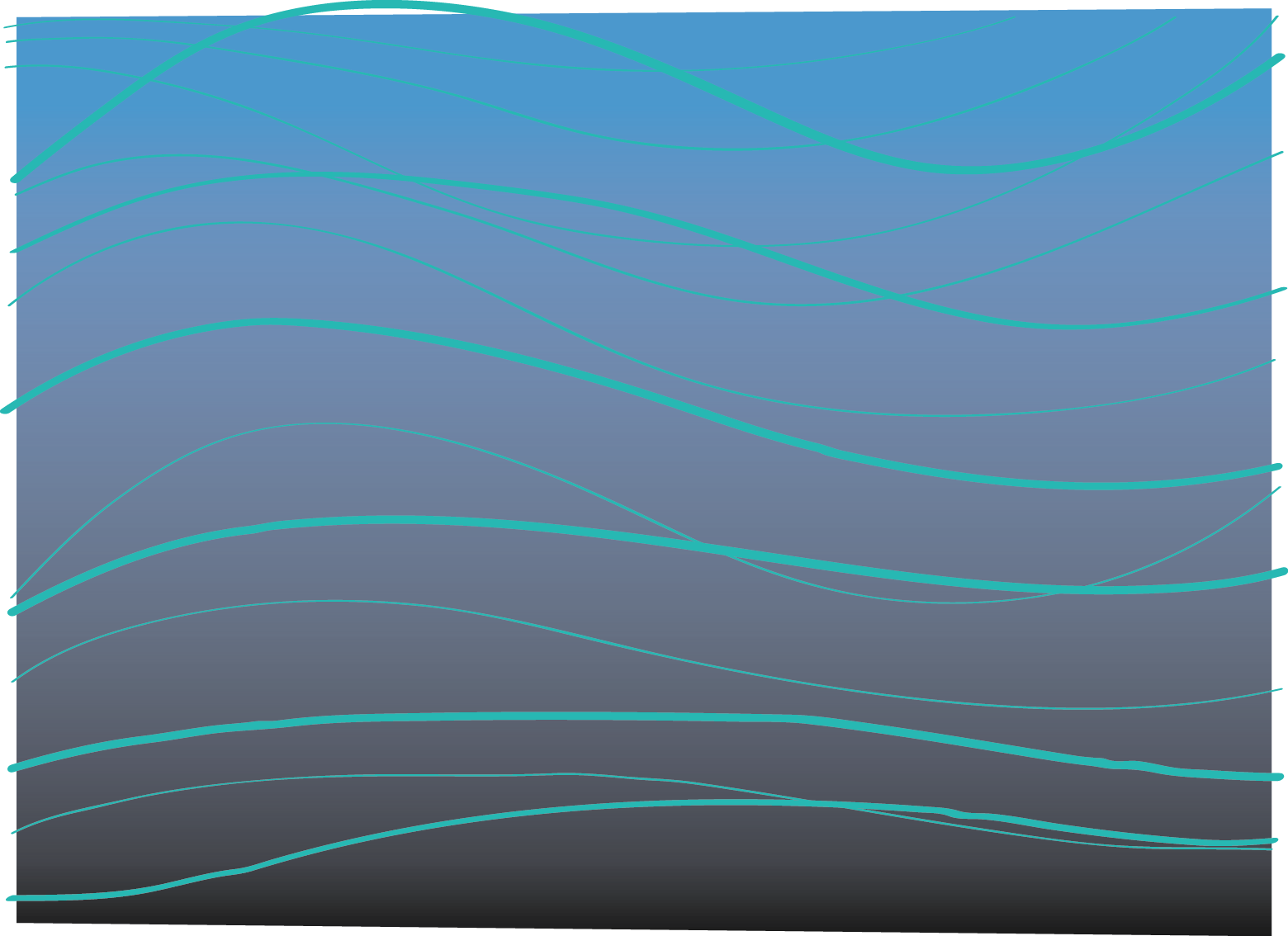 The Interactive Design Project