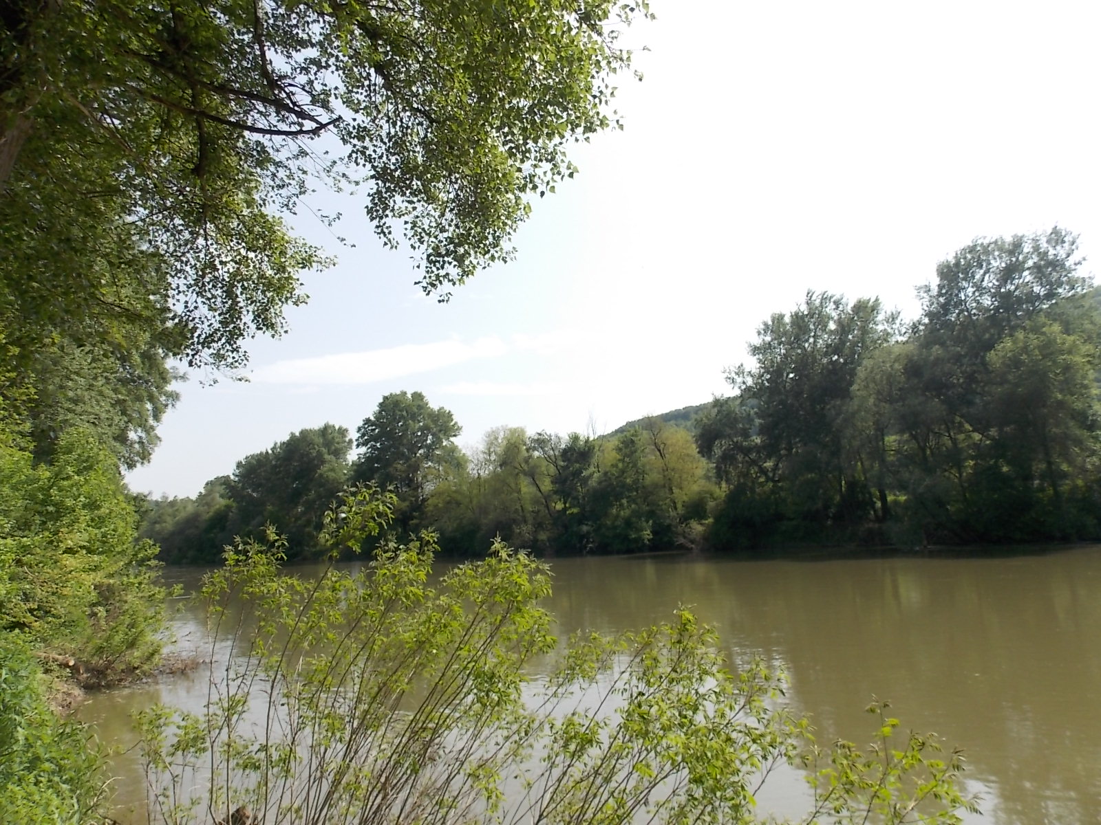 U mom Loncu: Južna morava, selo Braljina-1.maj