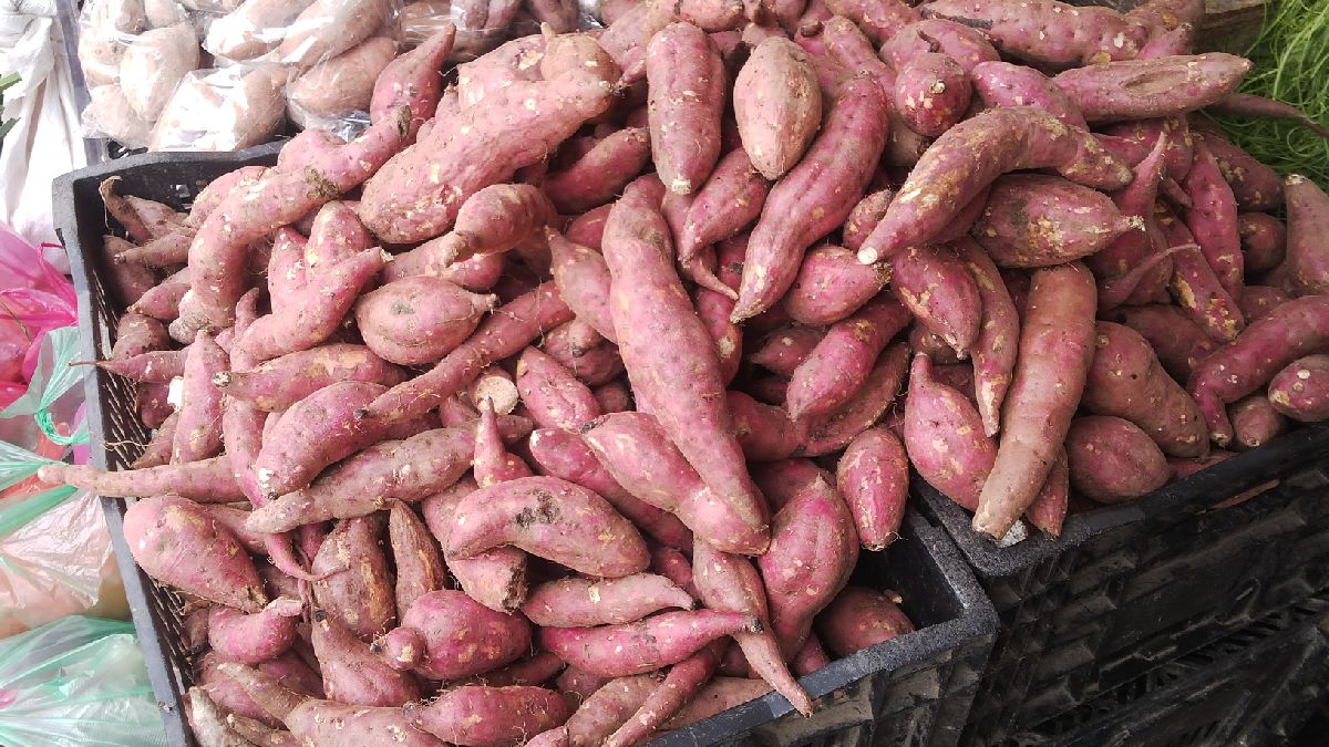 mrkumai.blogspot.com: Update Cuti Merdeka @ Cameron Highlands : Keledek ...