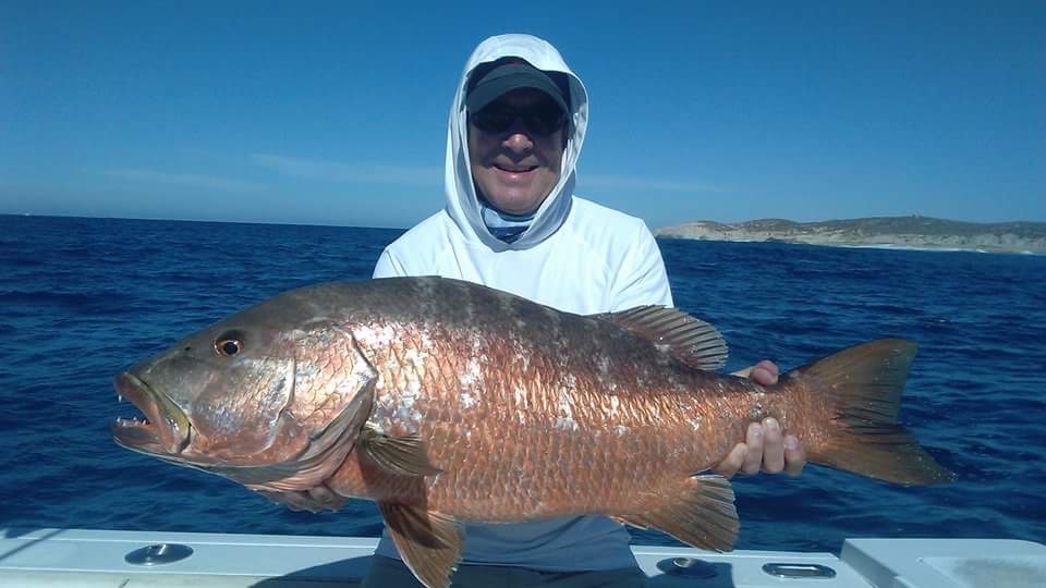 Baja Anglers: Mike Little giant Cubera snapper