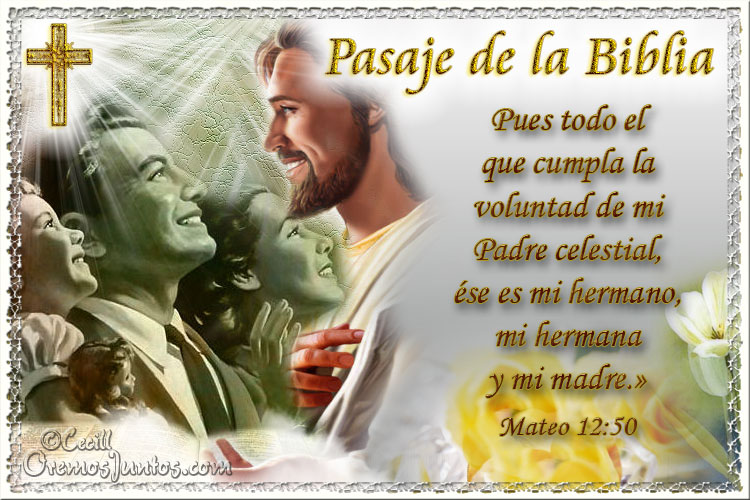 Vidas Santas: Santo Evangelio según san Mateo 12:50