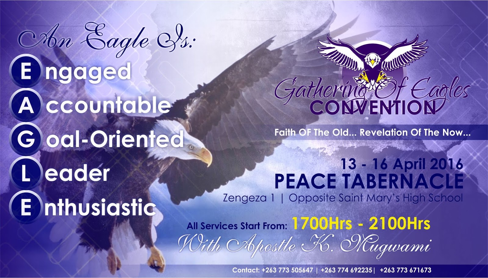 The Characteristics Of An Eagle And Why They Are Lessons For Good ...