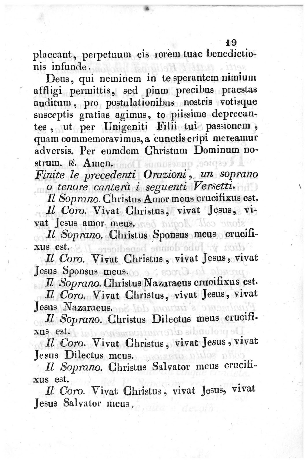 Cordigeri di san Francesco d'Assisi: I "Corda pia" nella Basilica di S ...