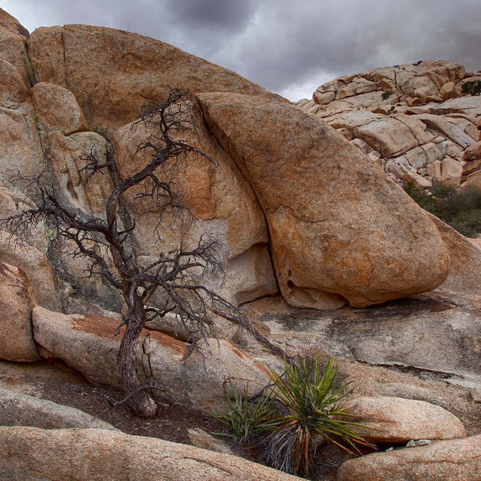 Spare Parts and Pics: Weird Rock Formations