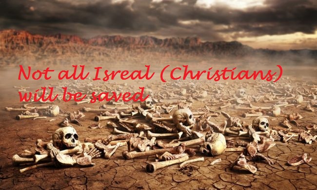 True Fruit Bearers: True Yisra’Ãl - the remnant people