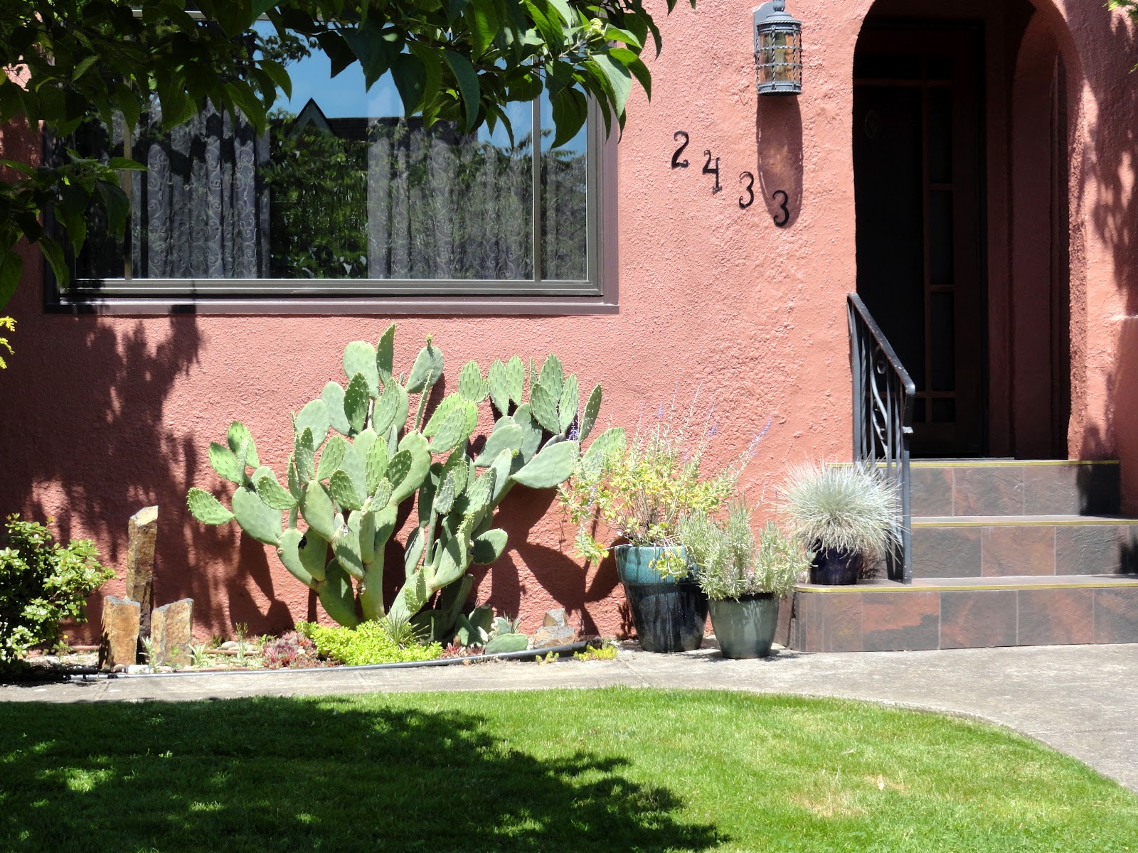 danger garden: Yes, you can grow Cactus in Portland (and many other ...