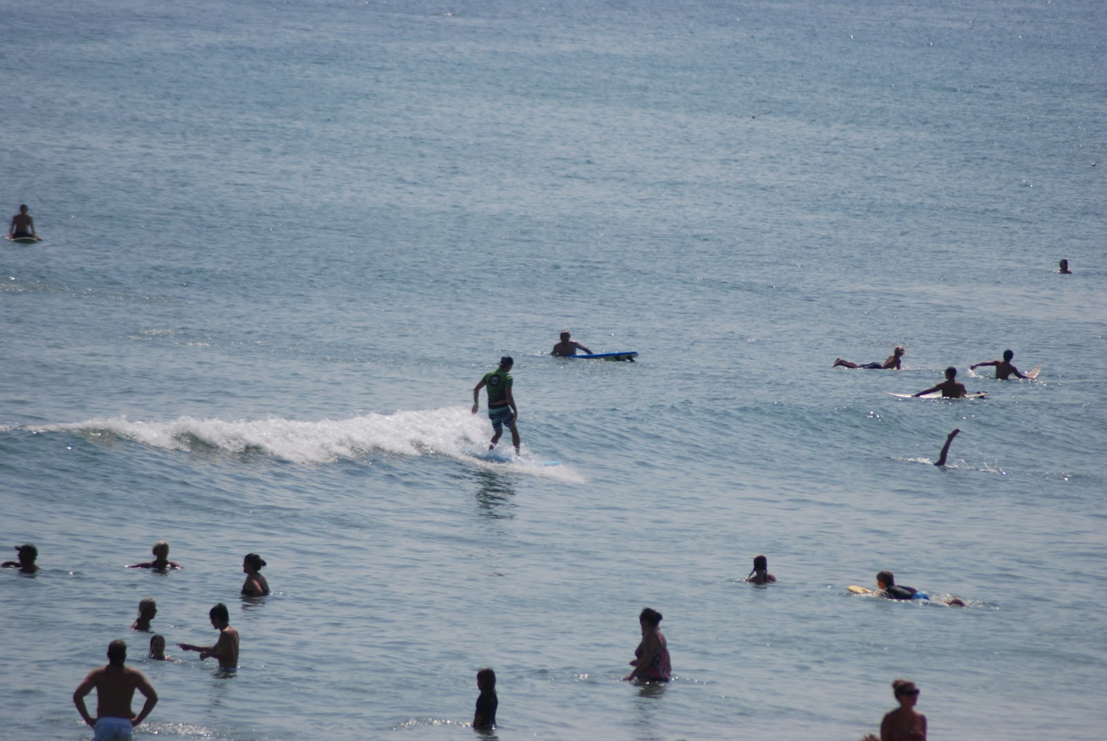 Kitchens Are Monkey Business: Rosie Checks Out The East Coast Surfing ...