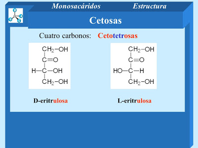 KIMIA ORGANIK 2: TUGAS TERSTRUKTUR MONOSAKARIDA DAN PENENTUAN STEREOKIMIA