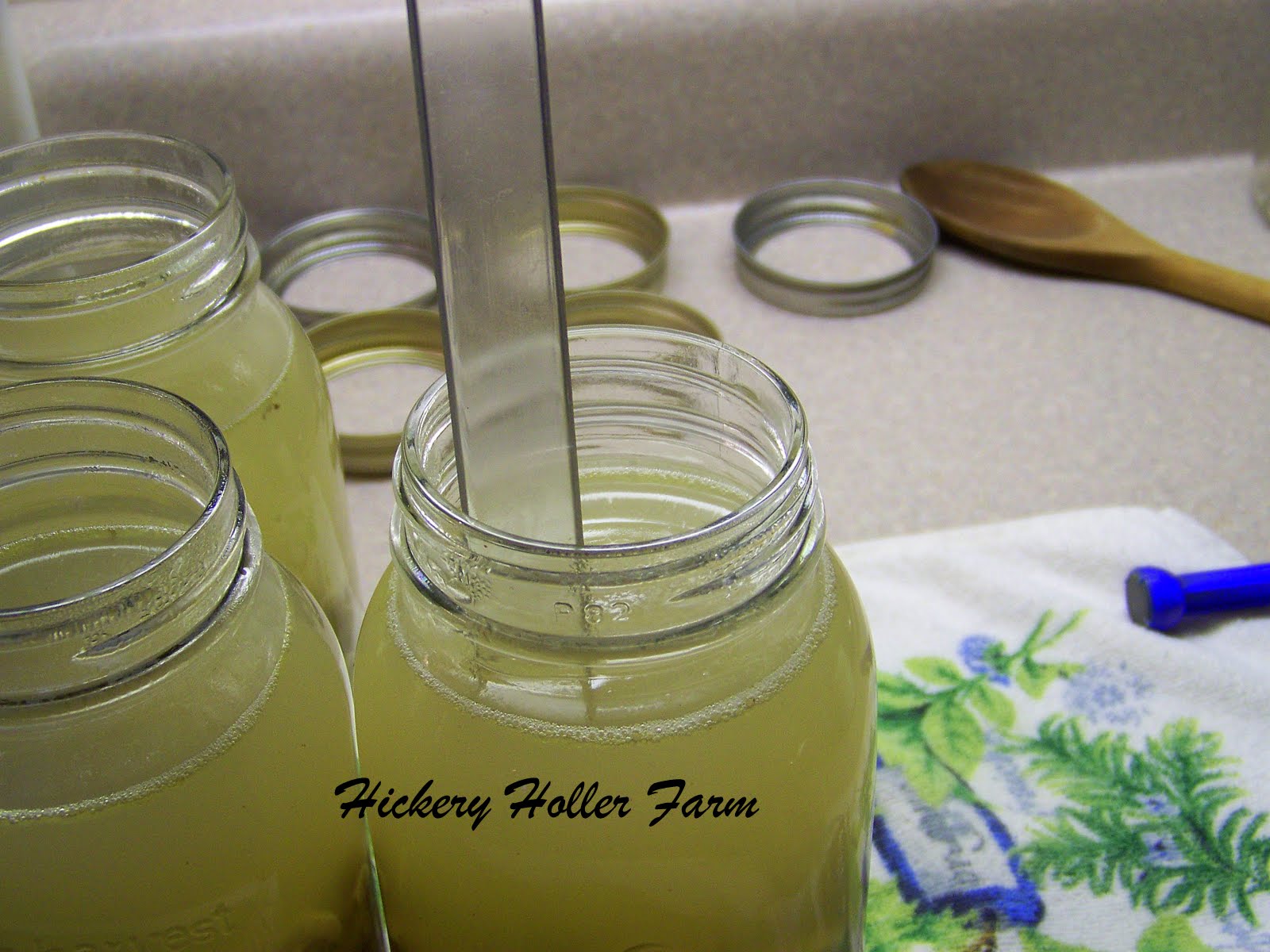 Hickery Holler Farm: The Beginning of Another Canning Year