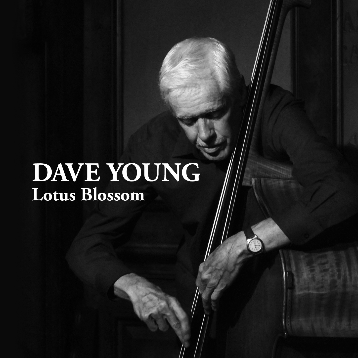 The Jazz Music Blog: Jazz bassist Dave Young new album release Lotus Blossom (featuring Renee ...