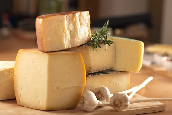 Effect of Mold Growth on Various Types of Cheese | Science Fair Project ...