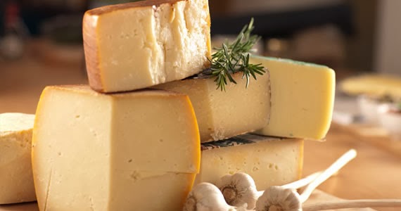 Effect of Mold Growth on Various Types of Cheese | Science Fair Project ...