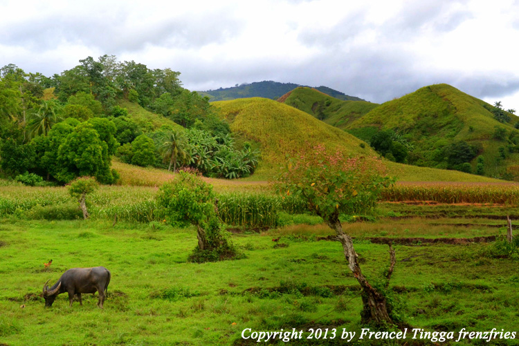 Frenz Fries: Into the Wilderness: Paracelis, Natonin, Barlig
