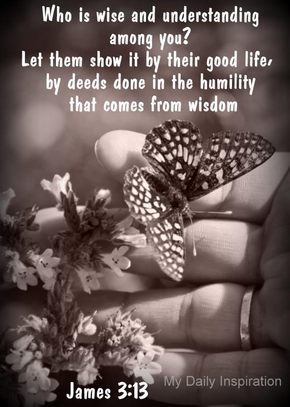 Who is wise and understanding among you?