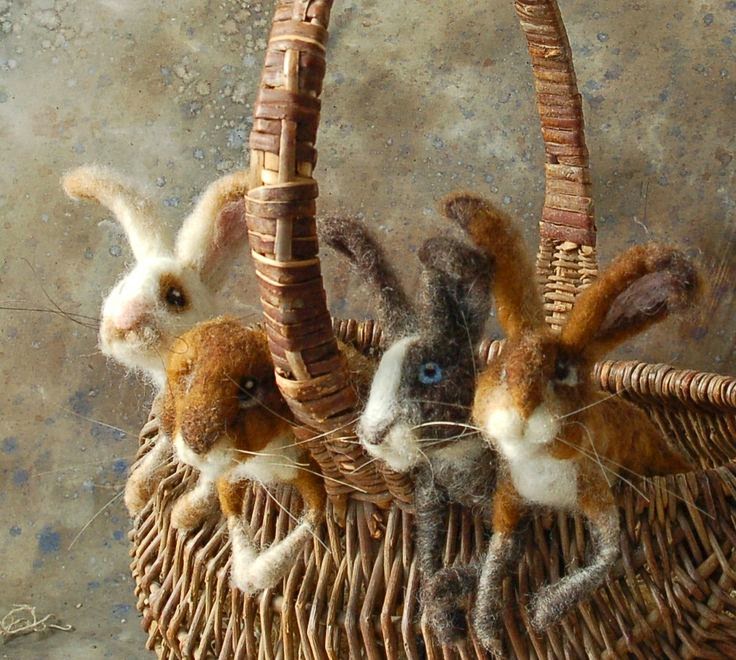 Bailey's Buddy: Rabbit, Rabbit, Camel Day and April Fool's Day - 'nuff ...