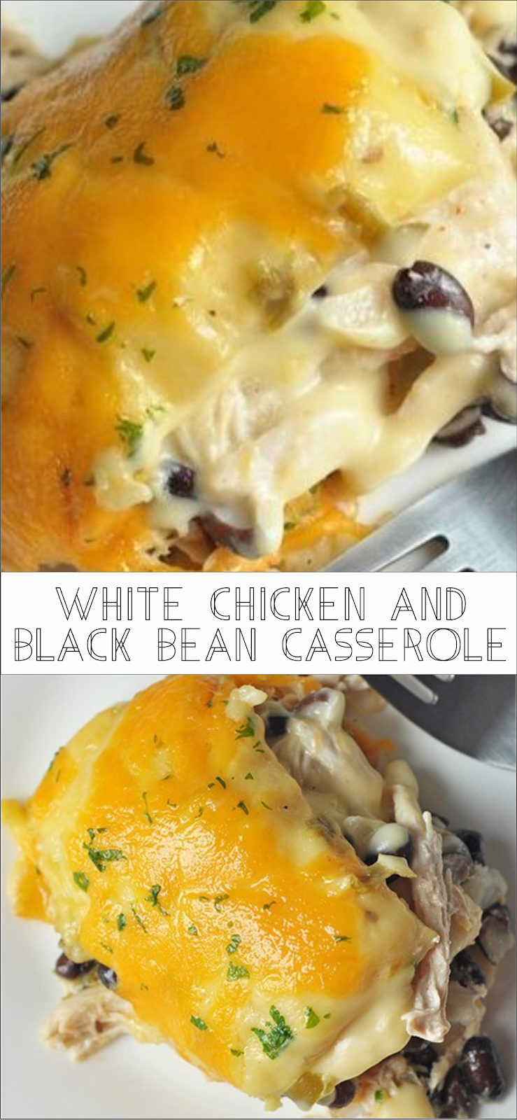 White Chicken & Black Bean Casserole | Floats CO