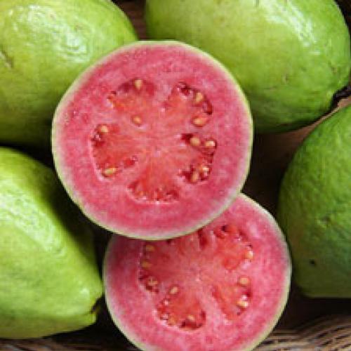 Guava(Jamfal) Fruit Photos Download