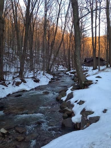 Wintry Linn Run State Park in the Laurel Highlands | Interesting ...