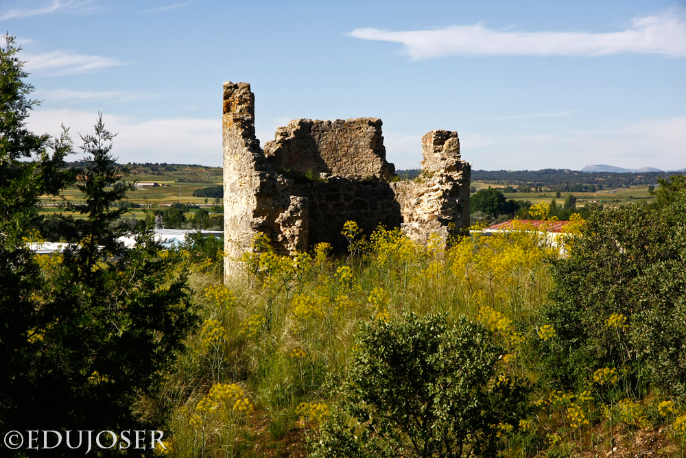 EDUJOSER: CASTILLO DE CASTRILLO DE LA VEGA (Burgos)