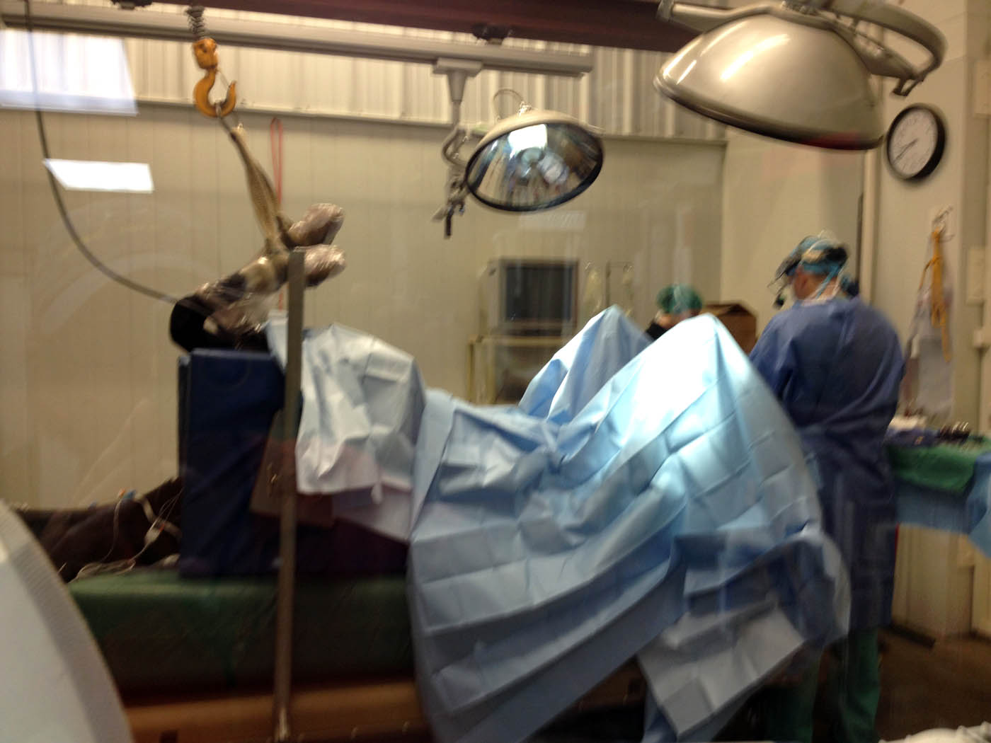 Bit of Honey Training: Note's Surgery