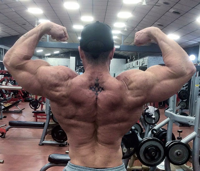 Muscle Lover: Alessandro Grassi