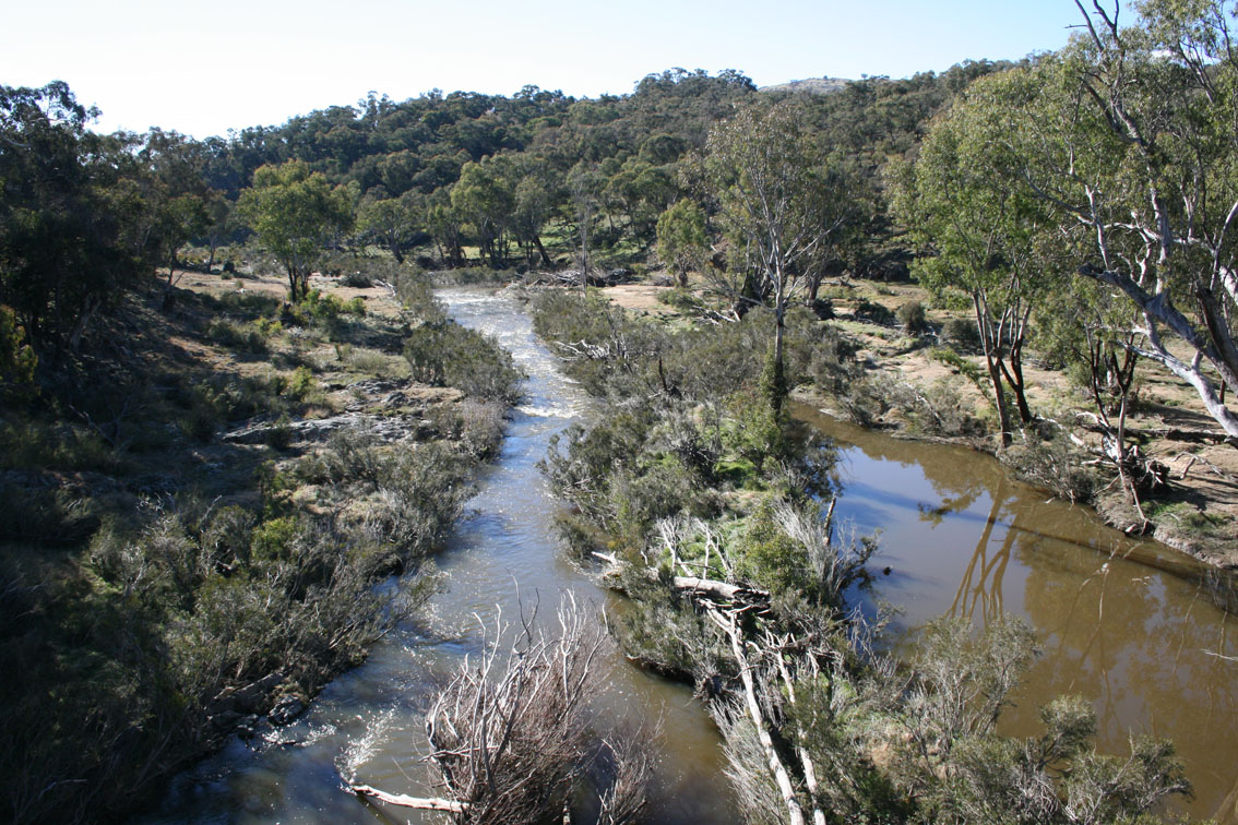 The Duck Hilton: Kiki, the Lachlan River and Crookwell