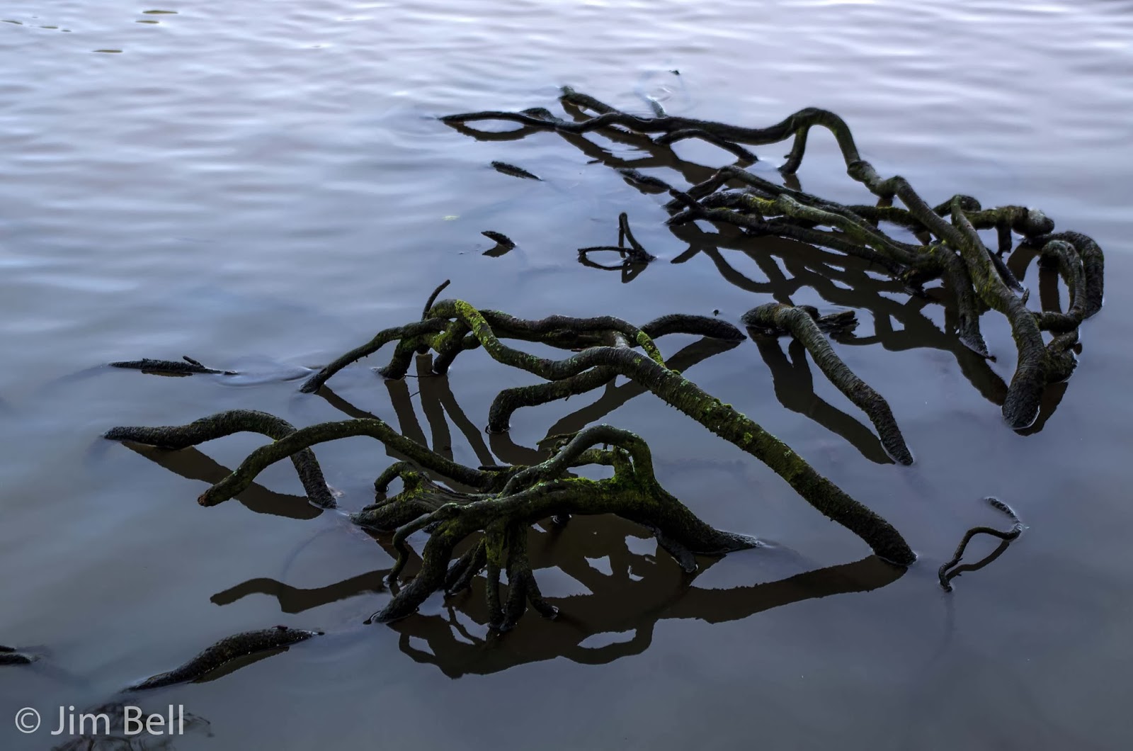 Out & About: Locko Park and Frosty Field