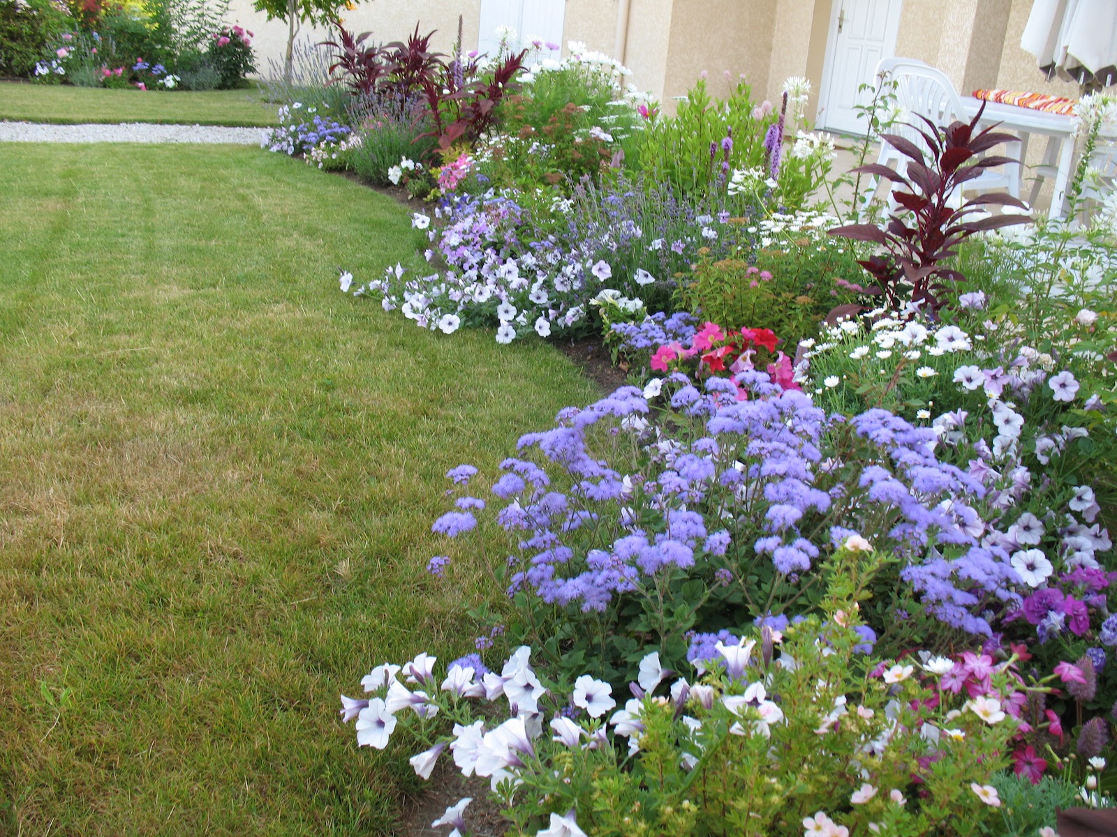 Roses du jardin Chêneland: Création d'une plate bande