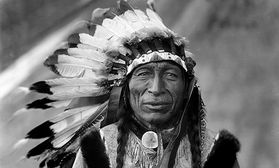 O pronunciamento do cacique Seattle | PENSE NO VERDE