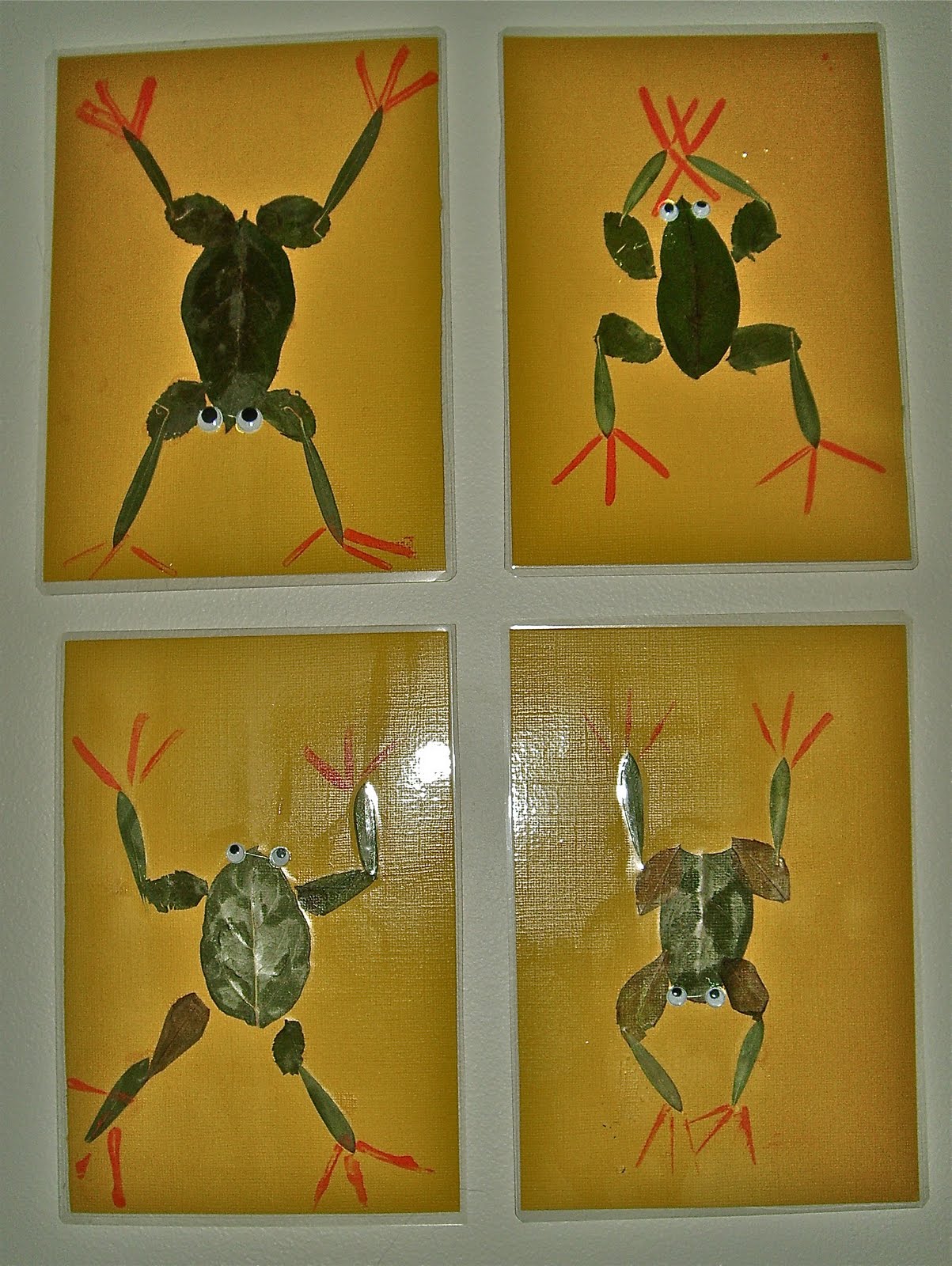 Use Your Coloured Pencils: Green Tree Frogs