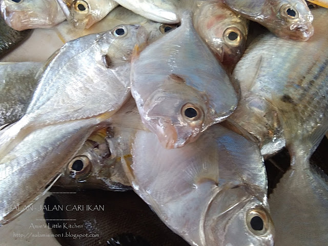 Kenali Pelbagai Jenis Ikan di Pantai Timur Sabah - Amie's Little Kitchen