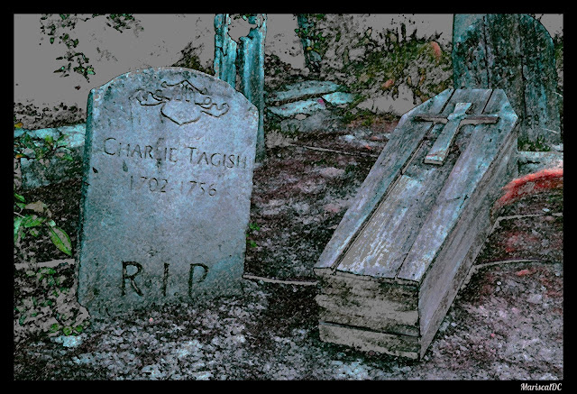 The Wooden Bird: Charlie Tagish