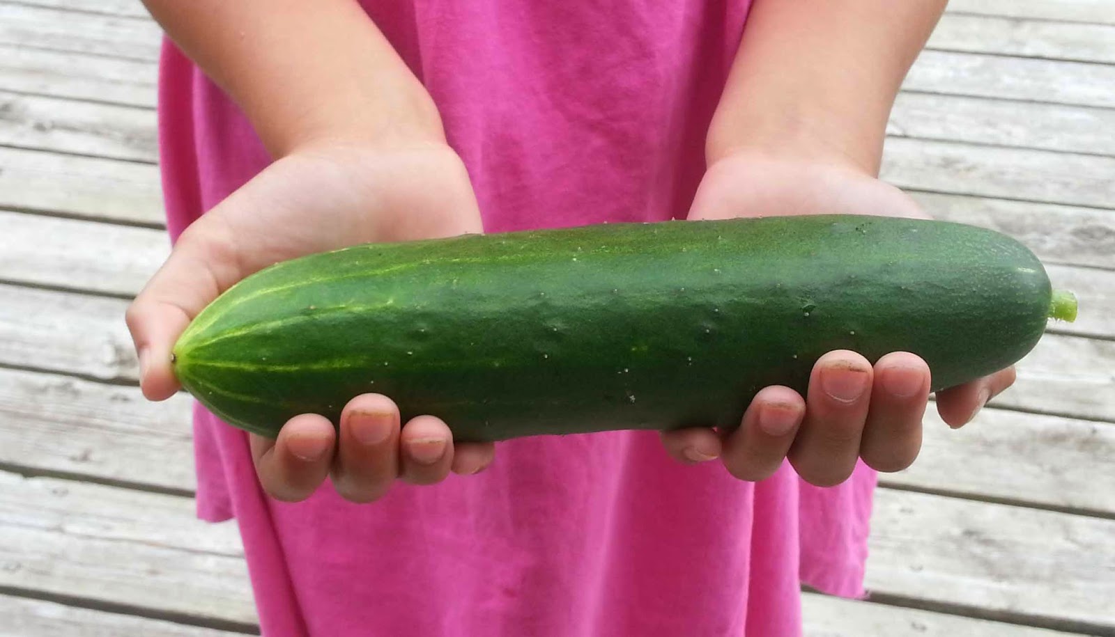 The Gardening Me: End of Season Review - Cucumbers