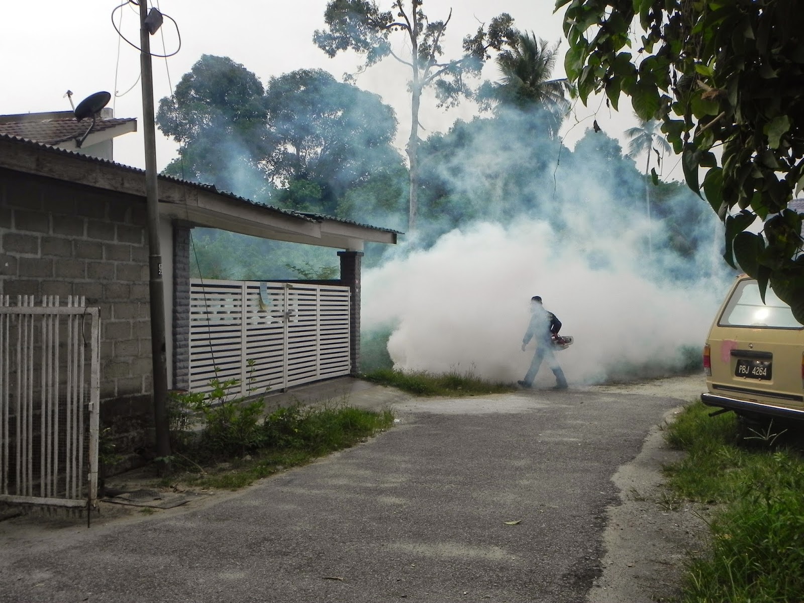 Reaktif: Semburan Asap: Cegah Denggi