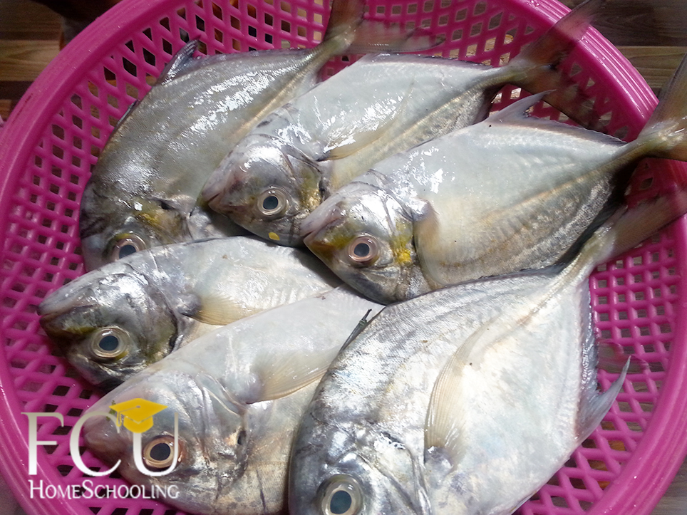 FCU HOMESCHOOLING JOURNEY: GANDINGAN LAUK PAUK HARIAN 2 (MOQUECA BAIANA ...